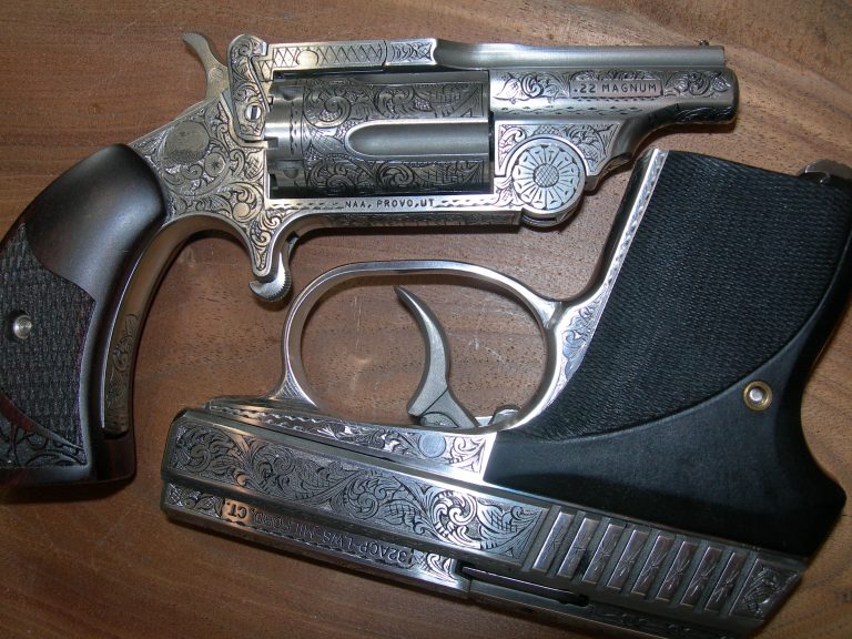 Engraved Seecamp and NAA Revolver - Gouse Freelance Firearms Engraving ...